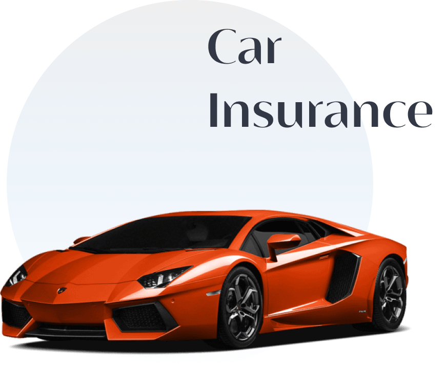 We Insure Things – Insurance Made Easy